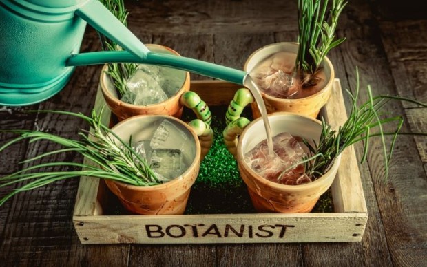 The Botanist Deansgate | Manchester Bar Review | DesignMyNight