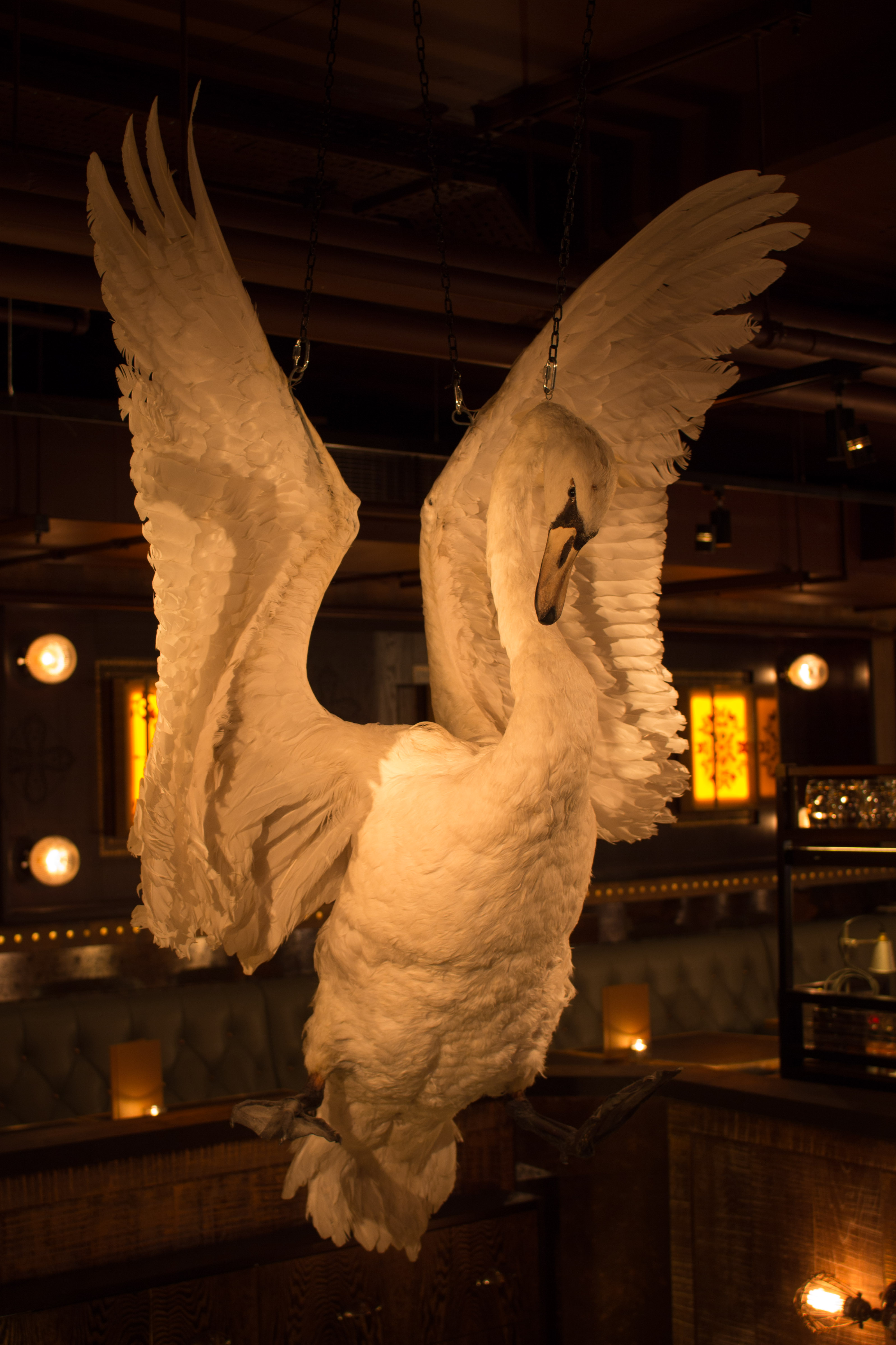 The Botanist Broadgate Circle | London Bar Reviews | DesignMyNight