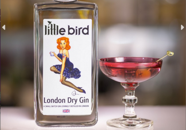 A retro adventure with Little Bird gin | Chiswick, London Classes ...