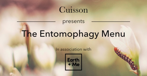 The Entomophagy Menu | London Bridge, London Food & Drink Reviews ...