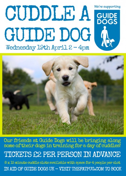Cuddle A Guide Dog Day | Birmingham Daytime Reviews | DesignMyNight