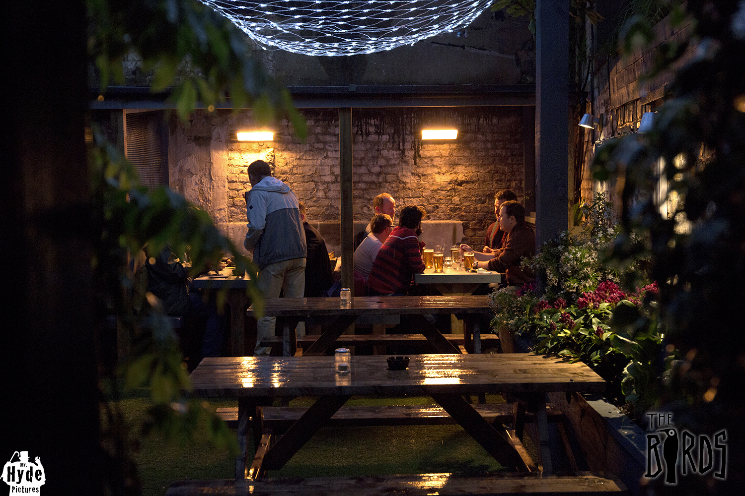 The Birds | London Pub Reviews | DesignMyNight