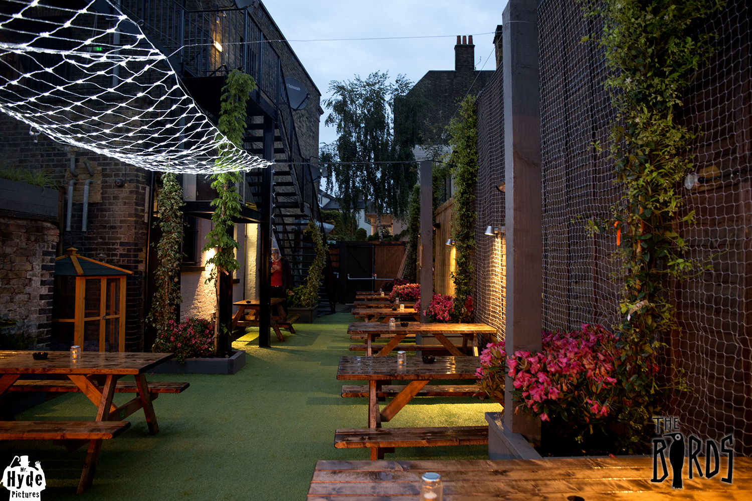 The Birds | London Pub Reviews | DesignMyNight