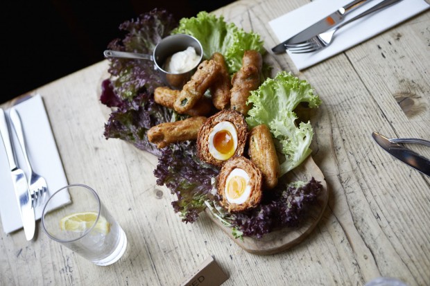 The Crown Islington | London Pub Reviews | DesignMyNight
