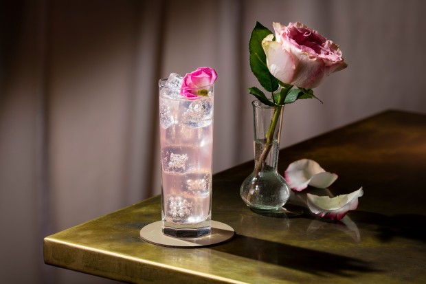 Disrepute Soho | London Bar Reviews | DesignMyNight