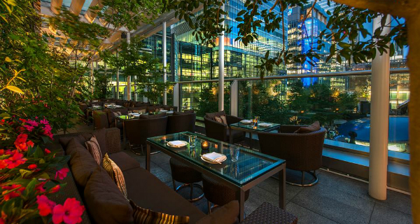 Roka Canary Wharf Review | London Restaurant Bar Reviews | DesignMyNight