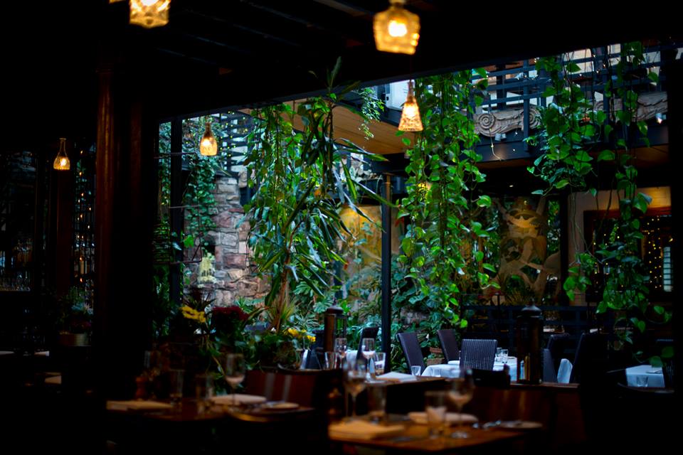 Ubiquitous Chip West End | Glasgow Bar Reviews | DesignMyNight