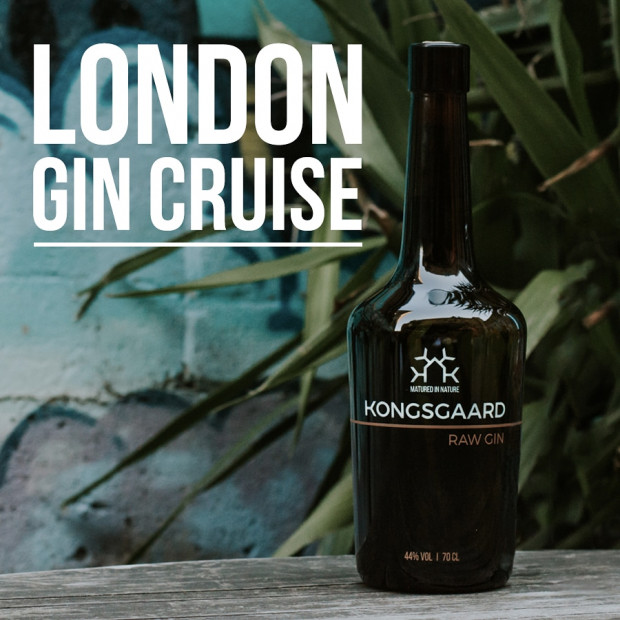 London Gin Cruise | London Boat Party Reviews | DesignMyNight