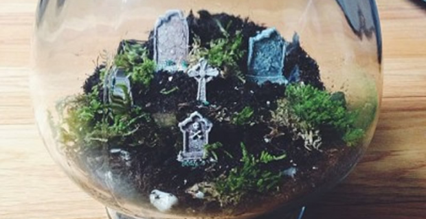 CEMETERRARIUMS- A Workshop with Carla Valentine | London Something A ...