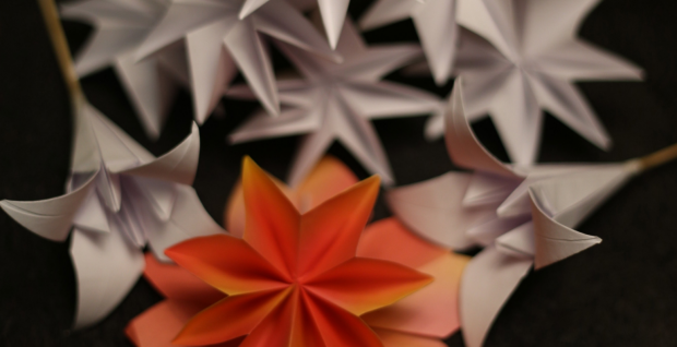 Happy Origami Wonderland | Canonbury, London Classes Reviews ...