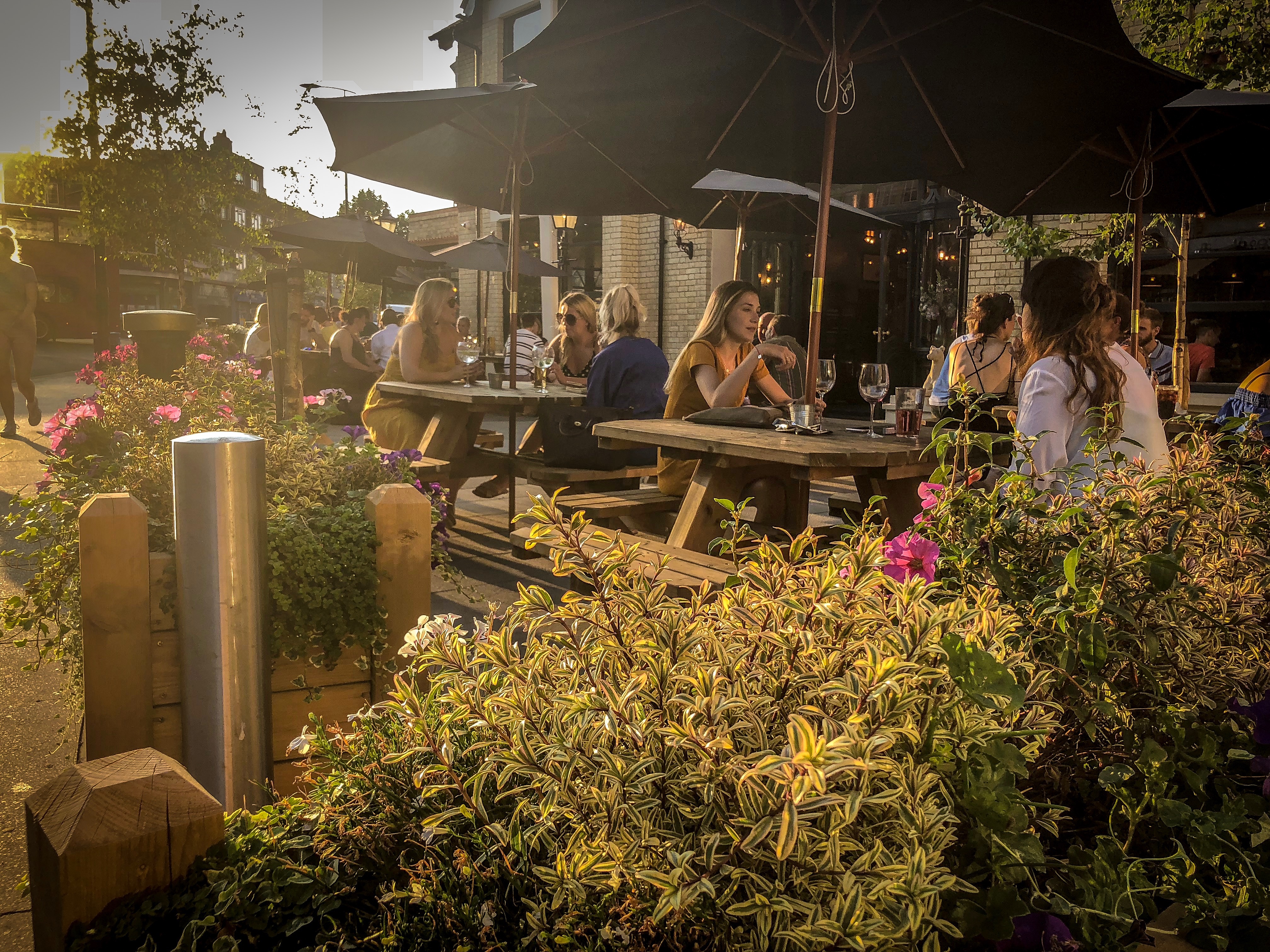 The Greyhound | Sydenham Pub Reviews | DesignMyNight