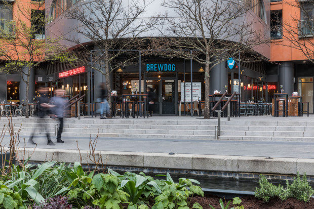 BrewDog Paddington | London Bar Reviews | DesignMyNight