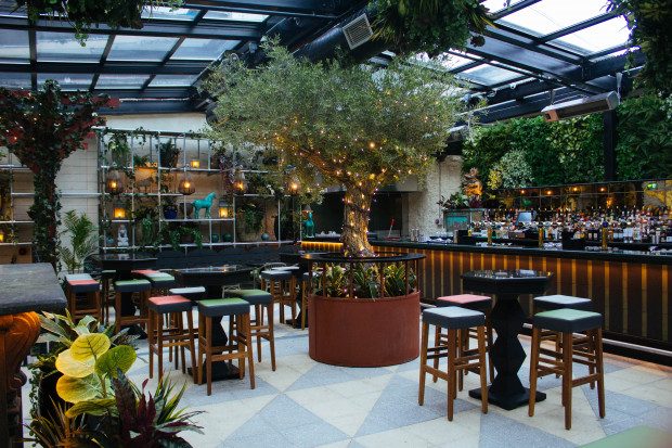 Opium | Restaurant Bar | , Dublin | DesignMyNight