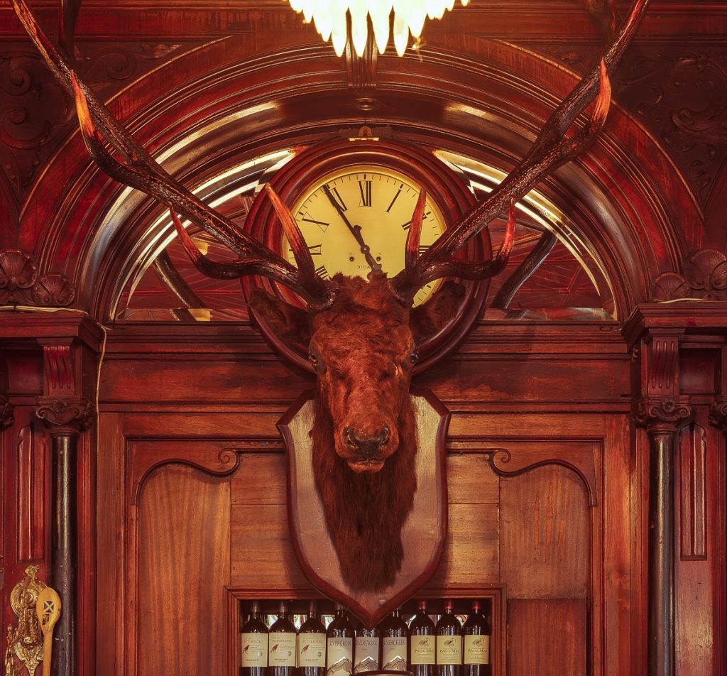 The Stag's Head | Dublin Pub Reviews | DesignMyNight