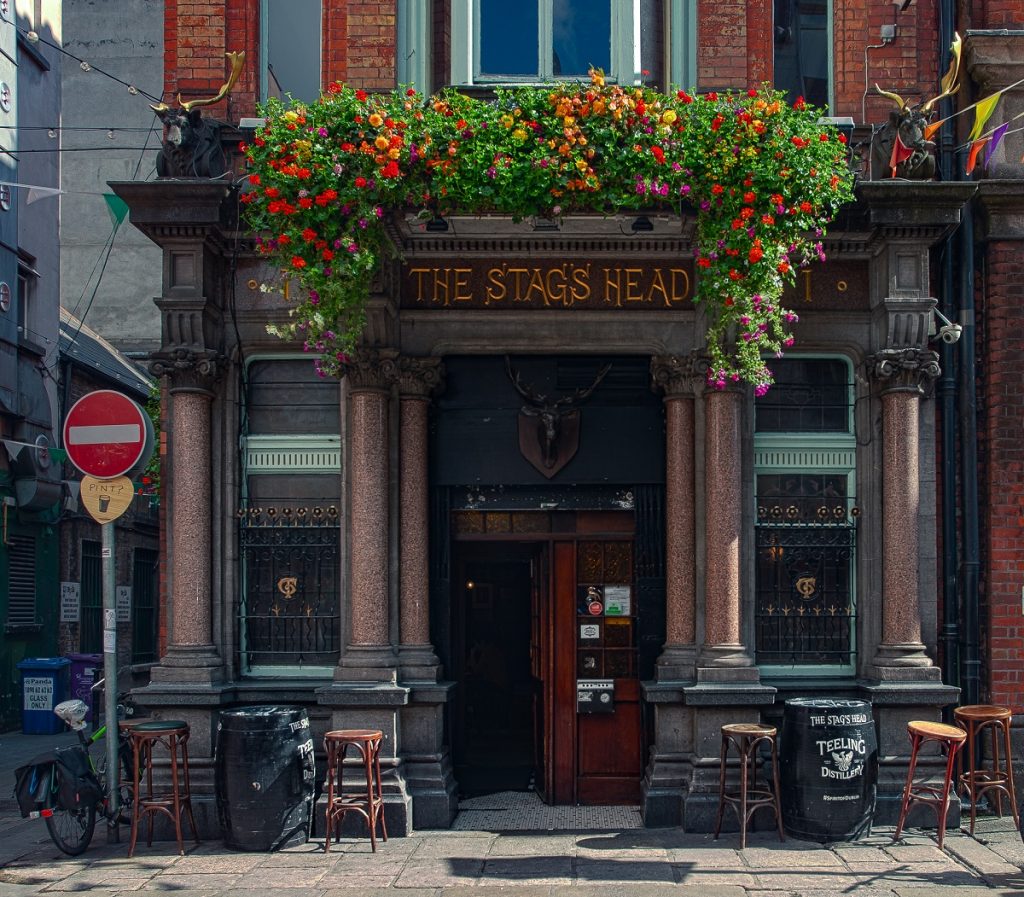 The Stag's Head | Dublin Pub Reviews | DesignMyNight