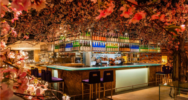 Zuma Bar: Japanese Restaurant In London | DesignMyNight