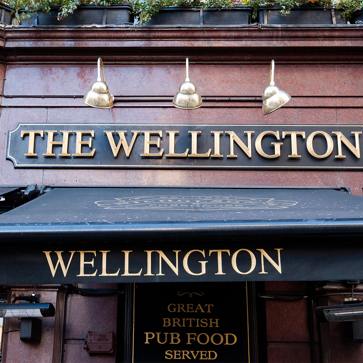 The Wellington | London Pub Reviews | DesignMyNight