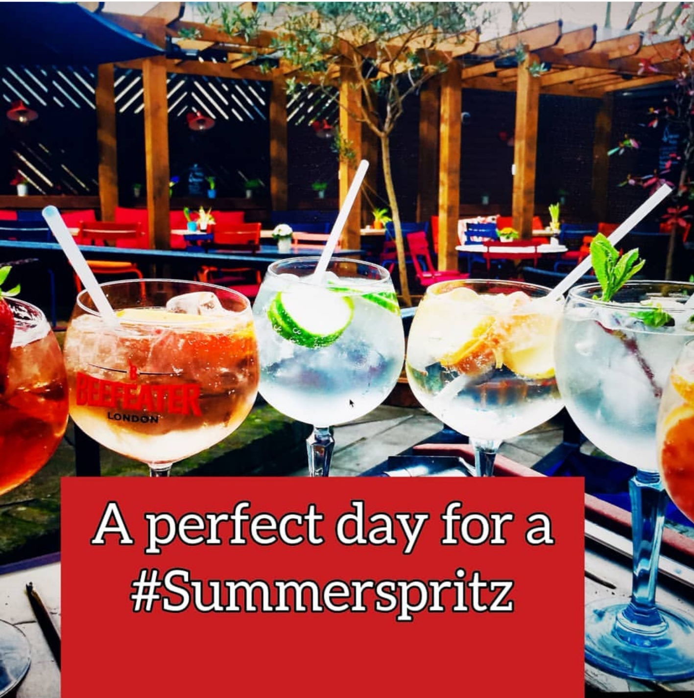 The Roebuck Hampstead | London Pub Reviews | DesignMyNight