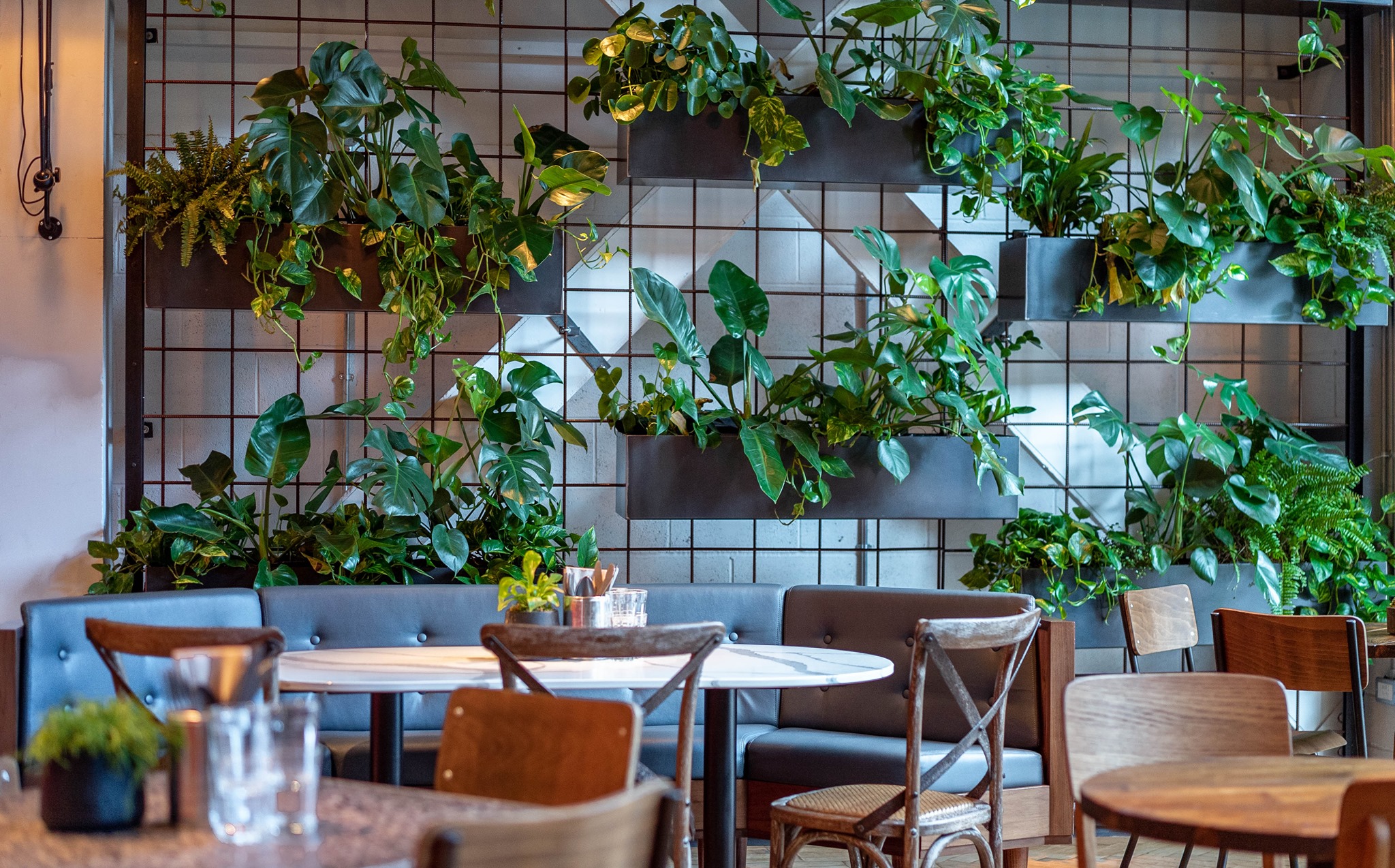 The Counter House | Manchester Restaurant Reviews | DesignMyNight