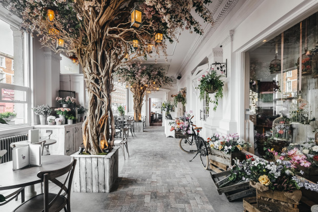 The Florist: Beautiful Floral Bar In Liverpool | DesignMyNight