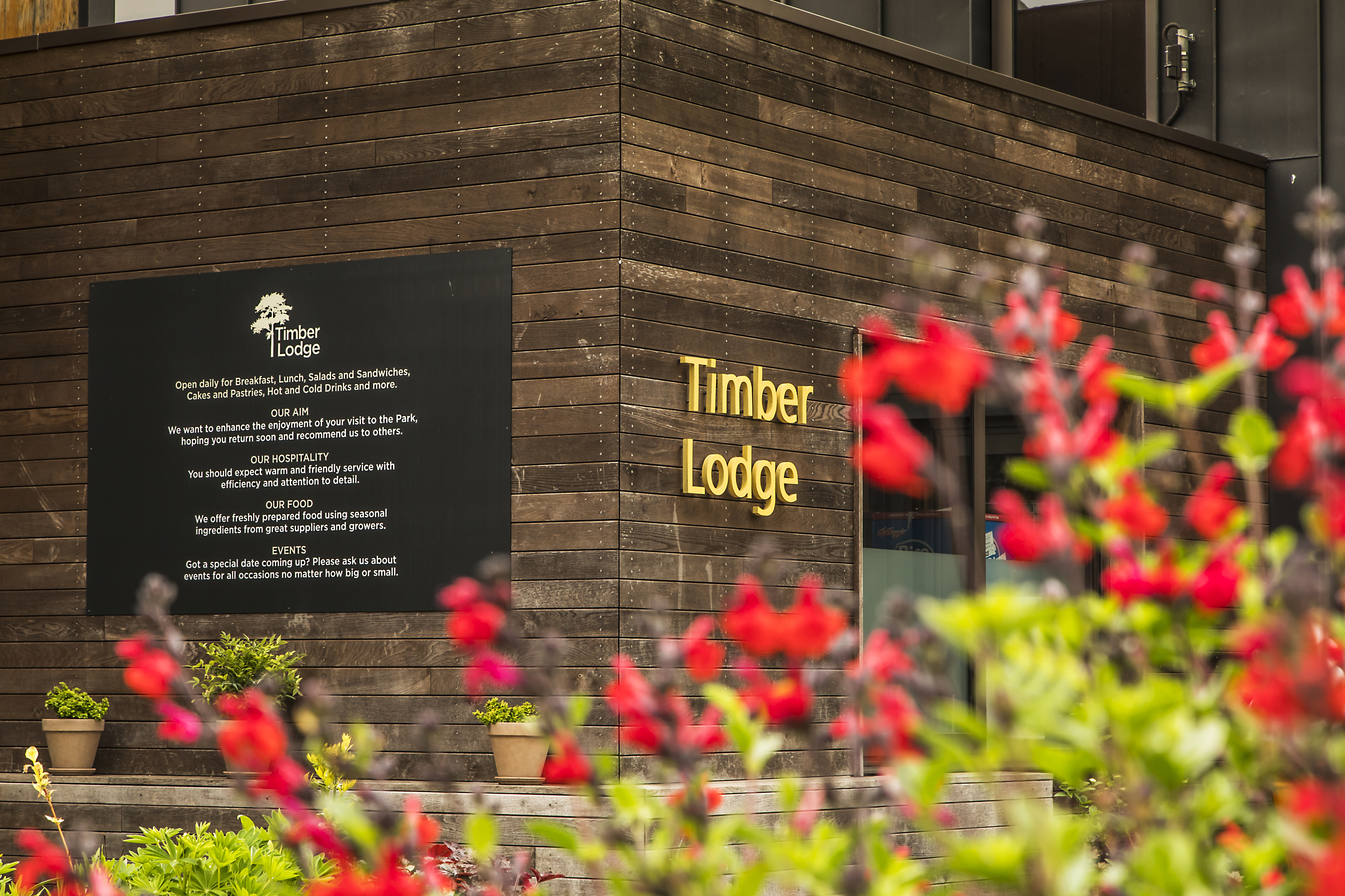 Timber Lodge | London Restaurant Reviews | DesignMyNight