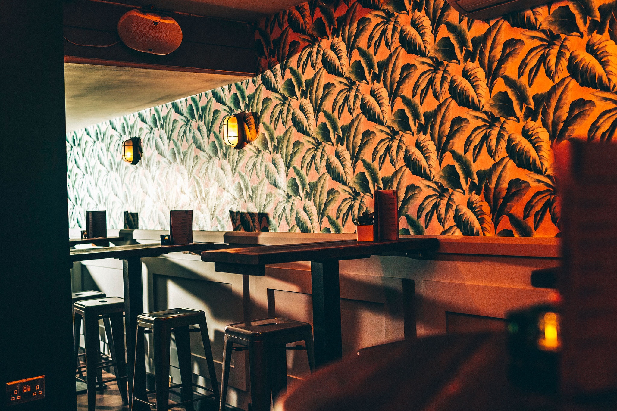 Tequila Mockingbird Putney | Cocktail Bar | Putney, London | DesignMyNight