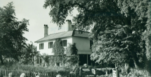 Steve Kielty @ Debden house | Essex Food & Drink Reviews | DesignMyNight