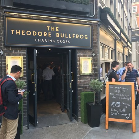 The Theodore Bullfrog | London Pub Reviews | DesignMyNight