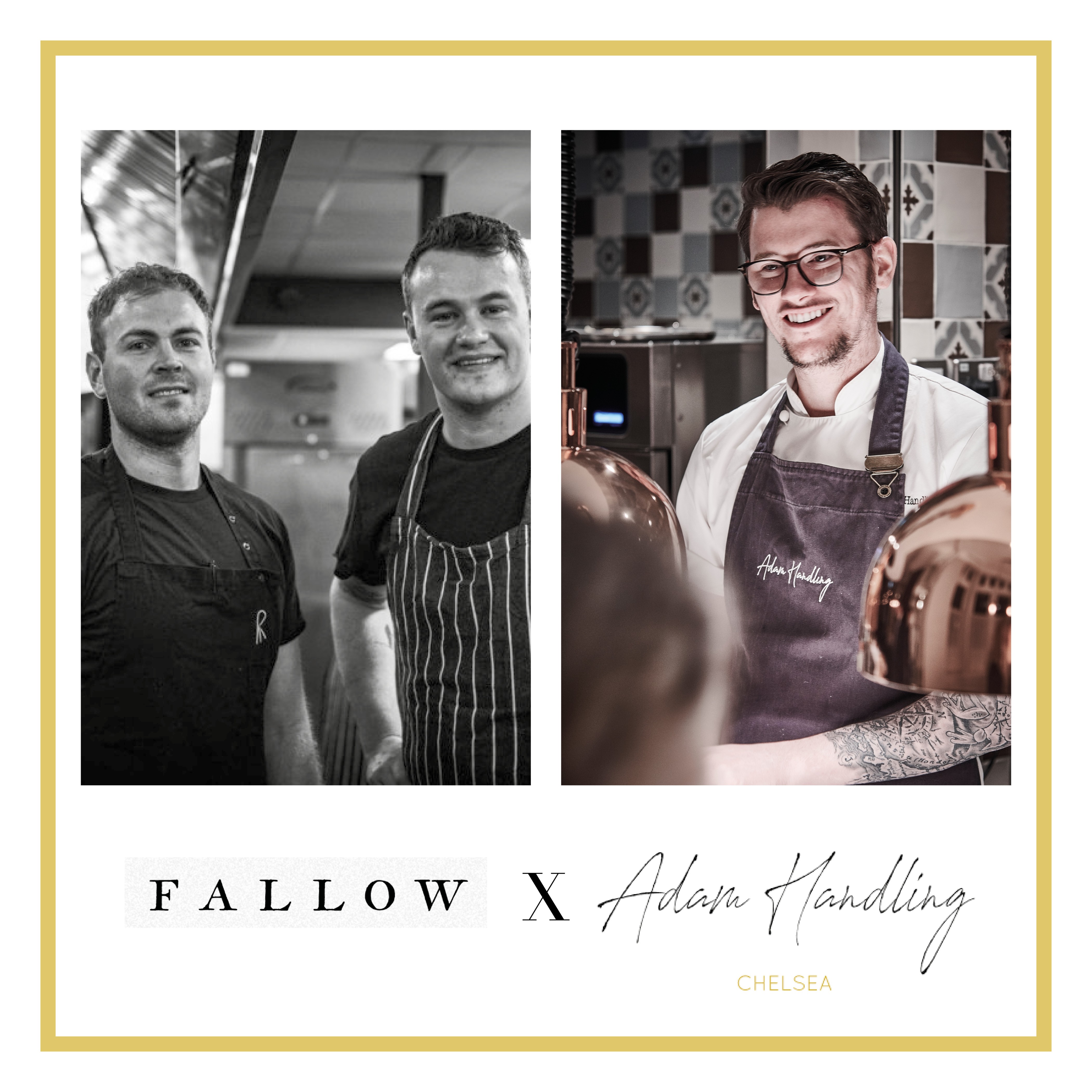 Tasting Dinner Fallow Collaboration Menu With Adam Handling London