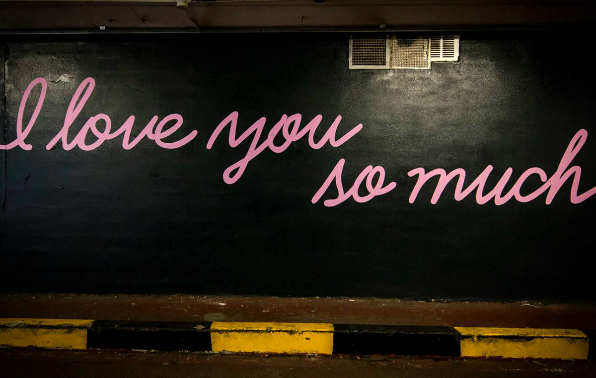 Amy Austin: Dog-Friendly Wine Bar in Dublin | DesignMyNight