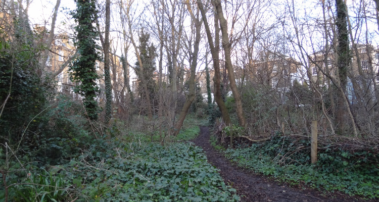 Lockdown Strolls: 7 Of London's Best Hidden Walking Spots | DesignMyNight