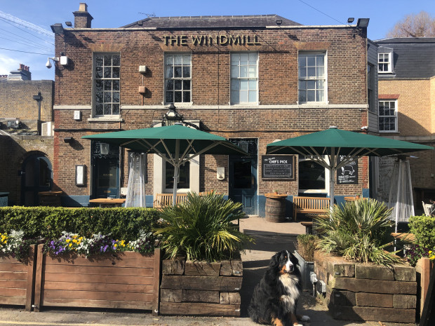 The Windmill Hotel Pub Clapham Common South Side London Reviews ...