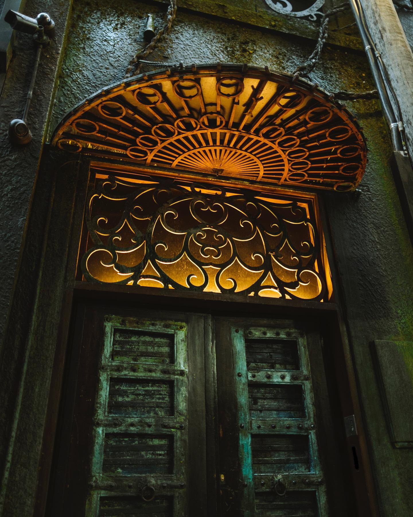 Saga Bar: Tropical Cocktail Hideaway in Sydney | DesignMyNight