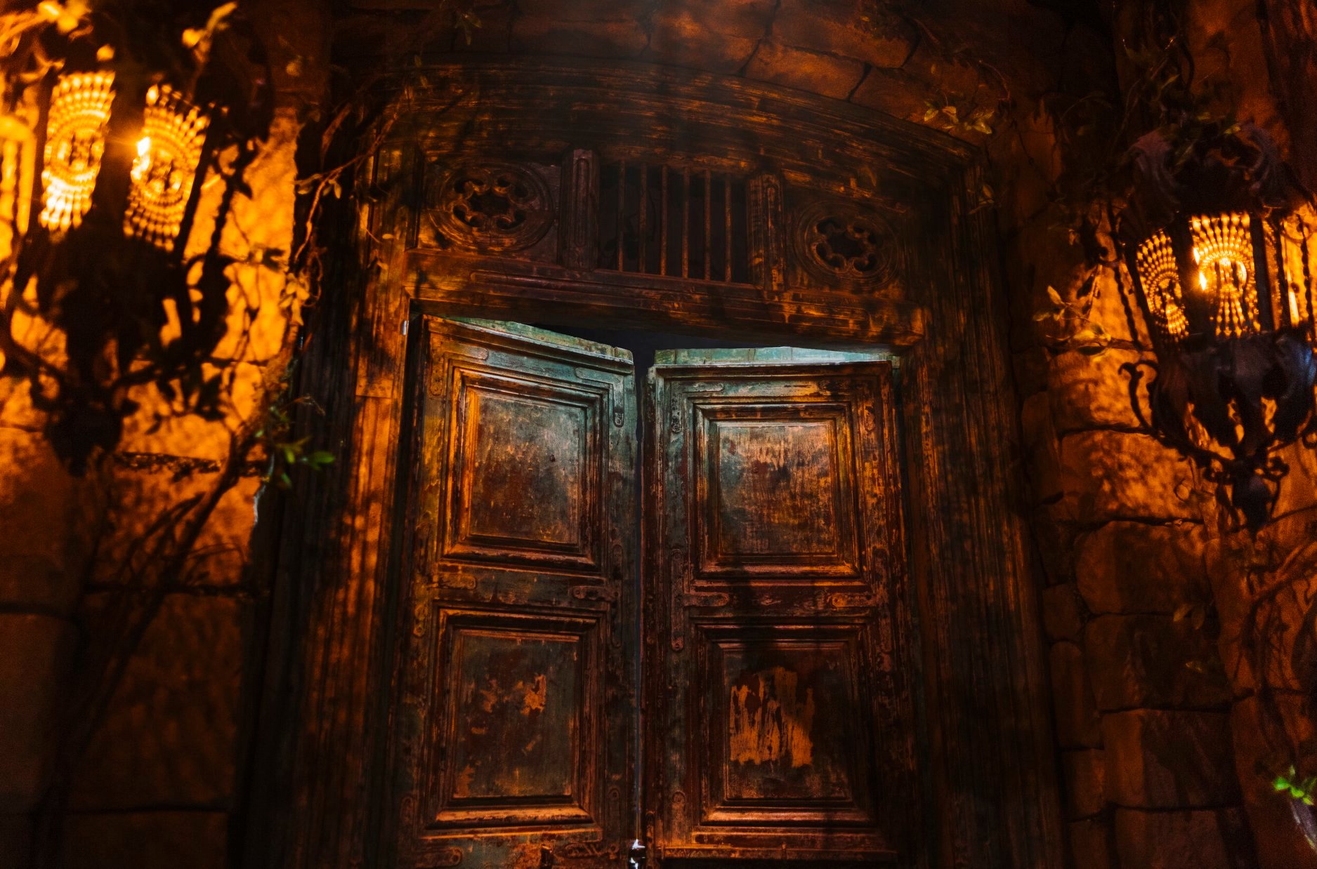 Saga Bar: Tropical Cocktail Hideaway in Sydney | DesignMyNight