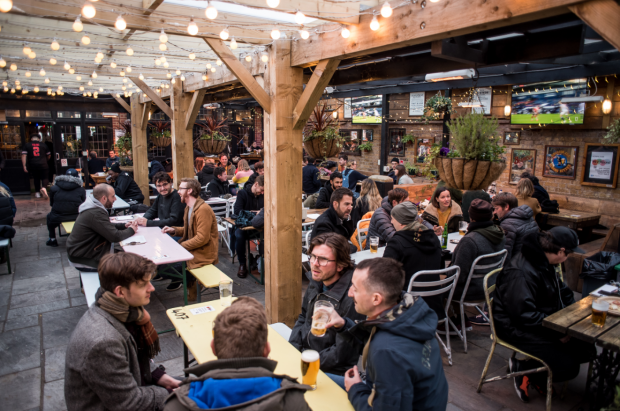 The Beehive: Top Tottenham Pub For Live Sports | DesignMyNight