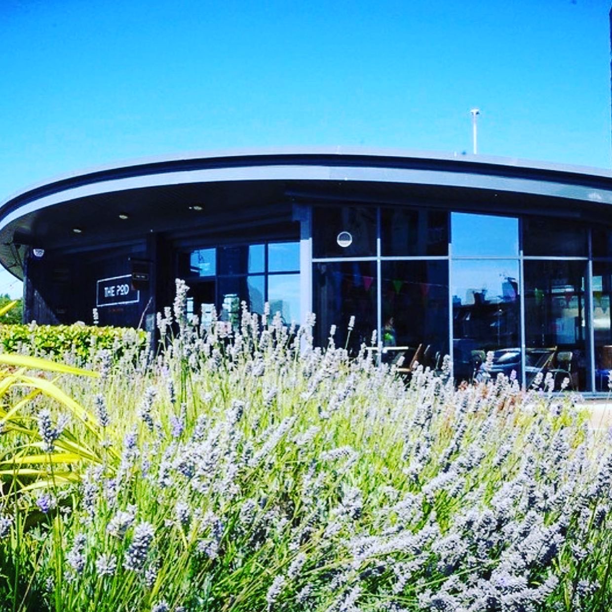 The Pod: Fun Outdoor Bar in Newport | DesignMyNight