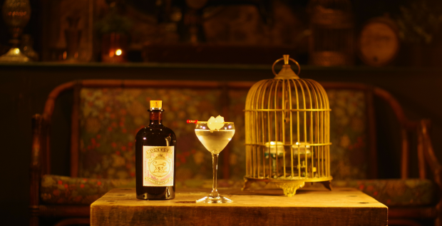 Four Martini Lunch - The Dead Canary, Libertine, Pennyroyal, Potted Pig ...