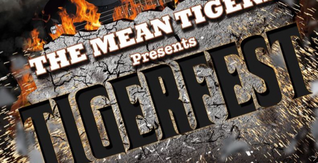 Tigerfest | London Live Music Reviews | DesignMyNight