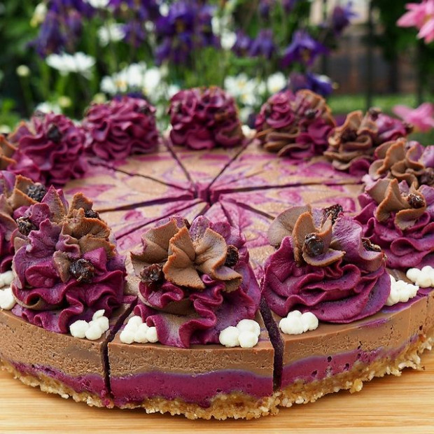 The Sly Fox: Vegan Food in Edinburgh | DesignMyNight