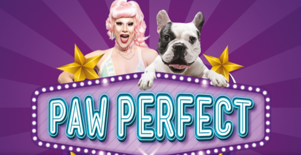 Paw perfect | St Pauls, London Activity Reviews | DesignMyNight