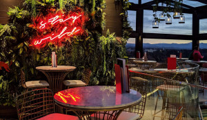 Tasty Tipples: Best Bars In Canberra 2022 | DesignMyNight
