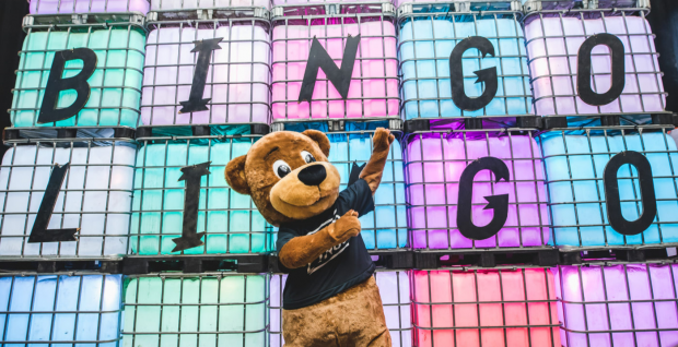 Bingo Lingo Cardiff Fun Time Partying Reviews DesignMyNight
