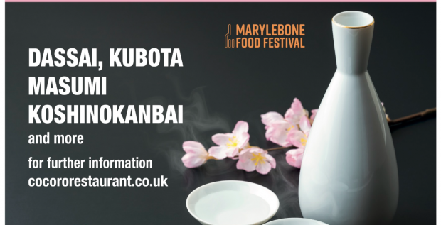 Sake Master Class | London Food & Drink Reviews | DesignMyNight