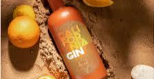 CALIFORNIA GIN NIGHT | Camden, London Drinks Tasting Reviews ...