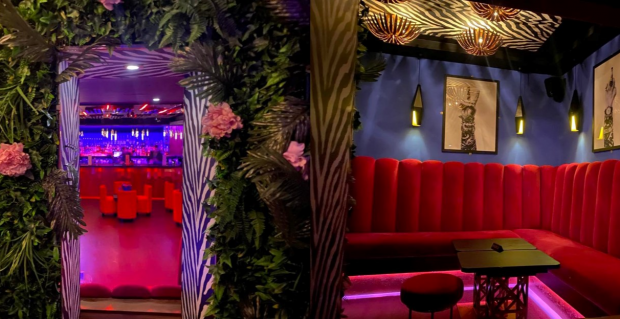 BIG Singles Social & Party at Dolce with Welcome Drink ! All Ages ...