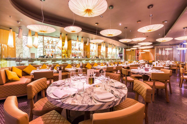 San Carlo: Italian Restaurant In Leicester | DesignMyNight
