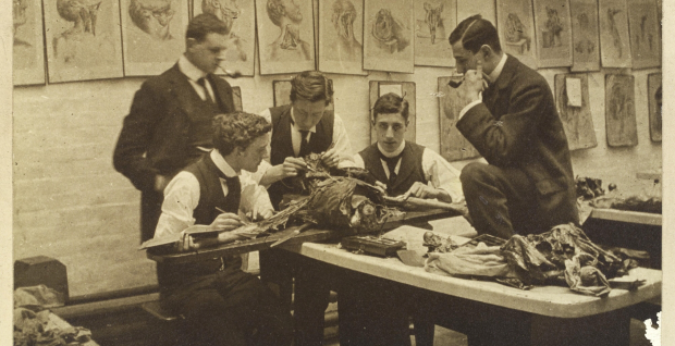 THE SOHO DISSECTION ROOM - The Use of the London Dead to the Living ...