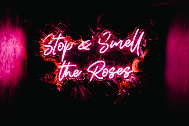 The Cocktail Club: Quirky Drinks In Mansion House | DesignMyNight