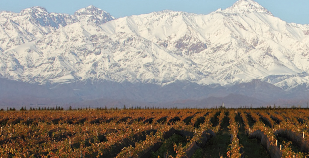 Mundus Novus: Discover the New World, Food, Music & Wine Tasting ...