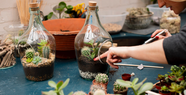 Make your own Cactus and Succulent Terrarium | Waterloo, London Classes ...